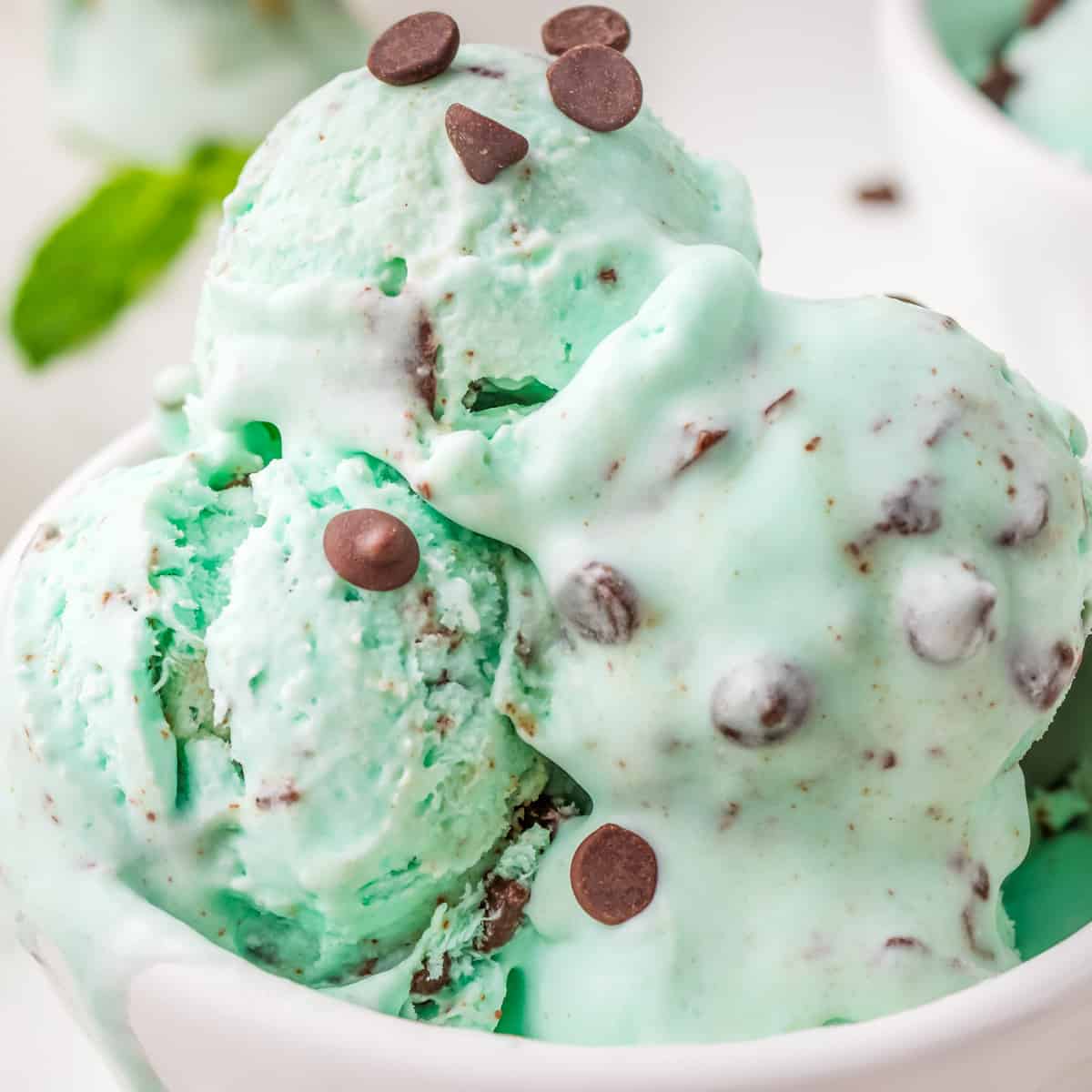 Mint Chocolate Chip Ice Cream In A Bowl